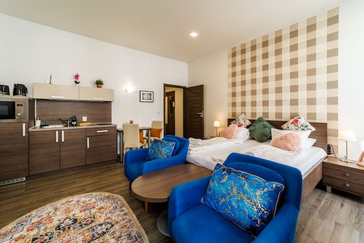 Residence Old Town Studio 2d - Praga