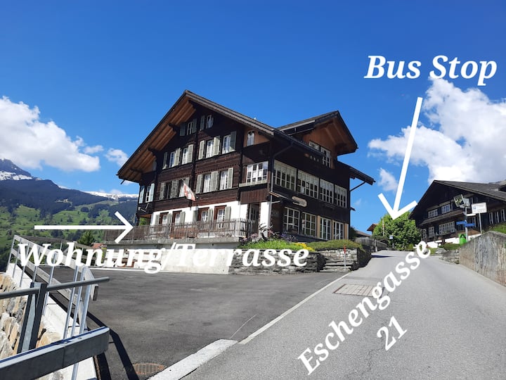 Fewo Chalet Sunneschyn - Grindelwald