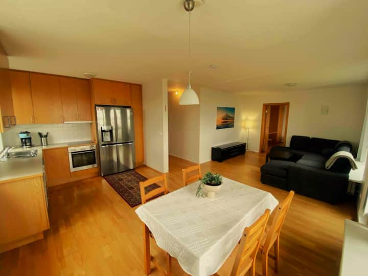 4 Bedroom Apartment·15 Minute Drive To Blue Lagoon - Iceland