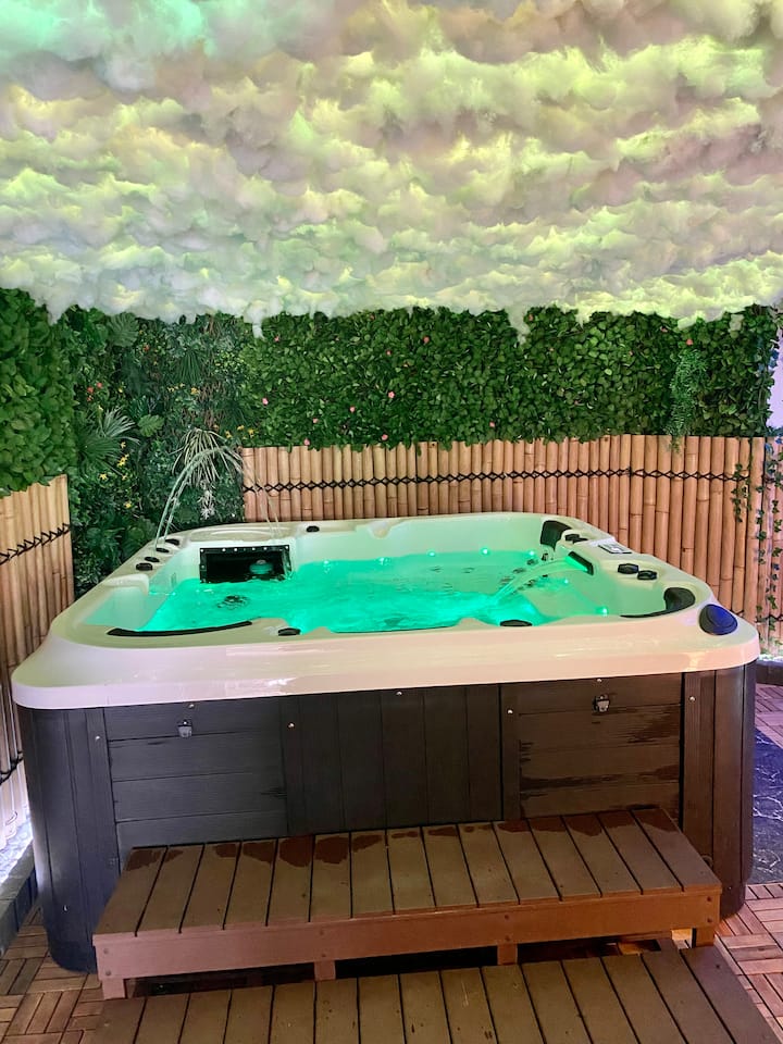 Appartement Cosy, Jardin Et Spa - Castres