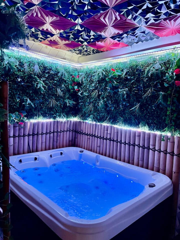 Appartement Cosy, Jardin Et Spa - Castres