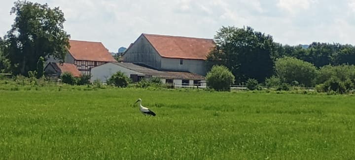 Full Apartment 7 Beds, Office, Lounge - Allemagne