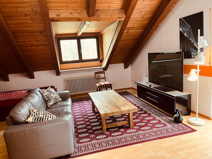 Big Room At Olympiapark, Sea Life & Bmw World - Karlsfeld