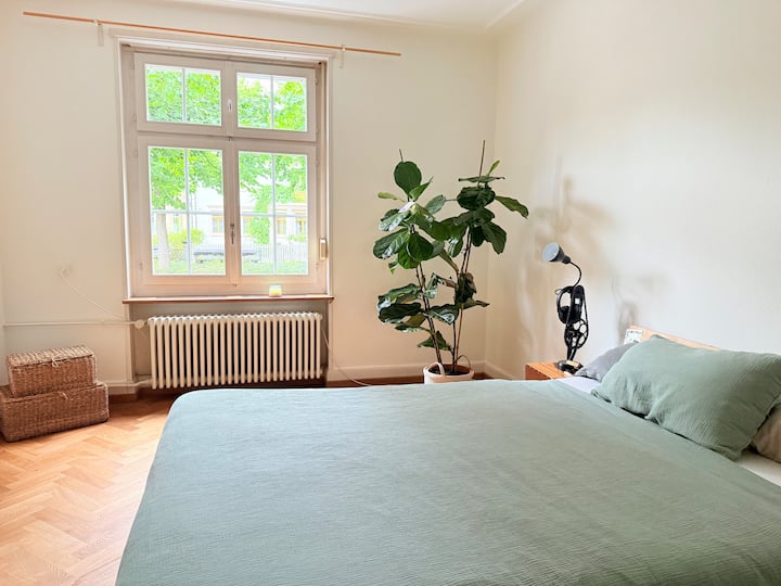 Gemütliche Wohnung In Basel - Basel