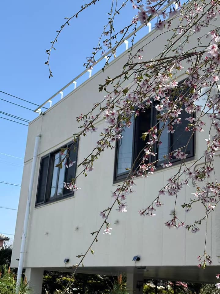 红富士苑A棟 整包 - Mount Fuji