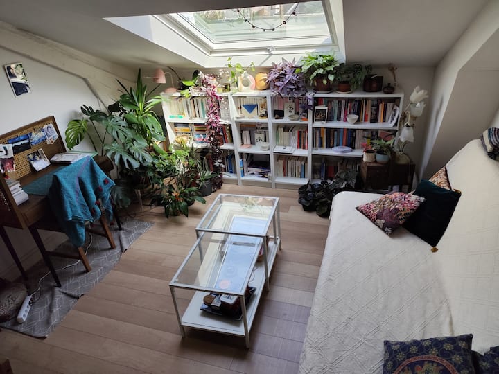 Appartement T2 Cosy à Nantes - Nantes