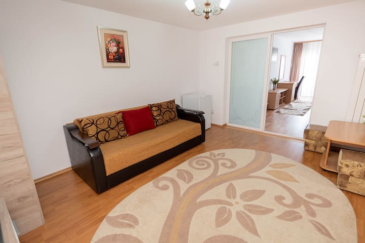 Pensiunea Cemira Lux - Dorna Candrenilor