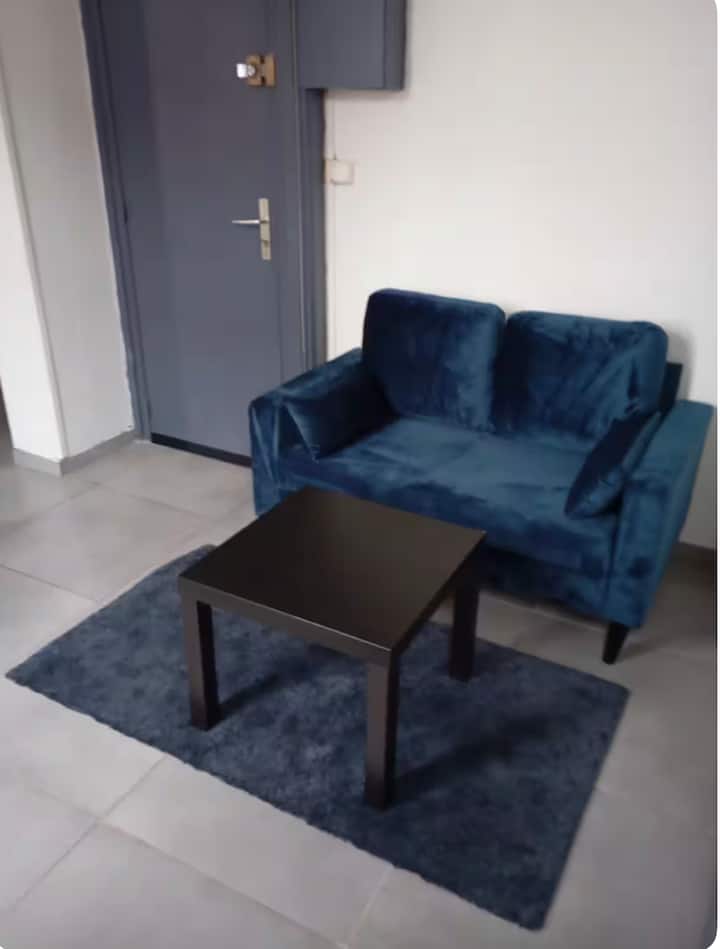 Appartement Rénové T2 - Lilla