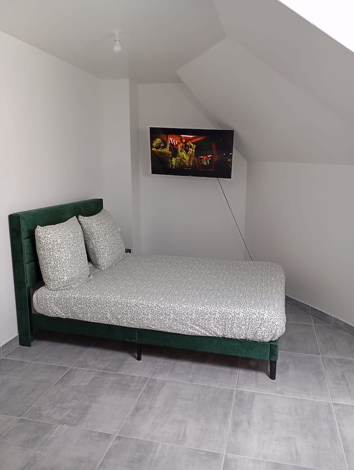 Joli T1 Bis Rénové - Lille