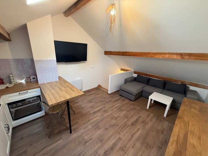 Appartement Complet Au Calme à Thionville - Thionville