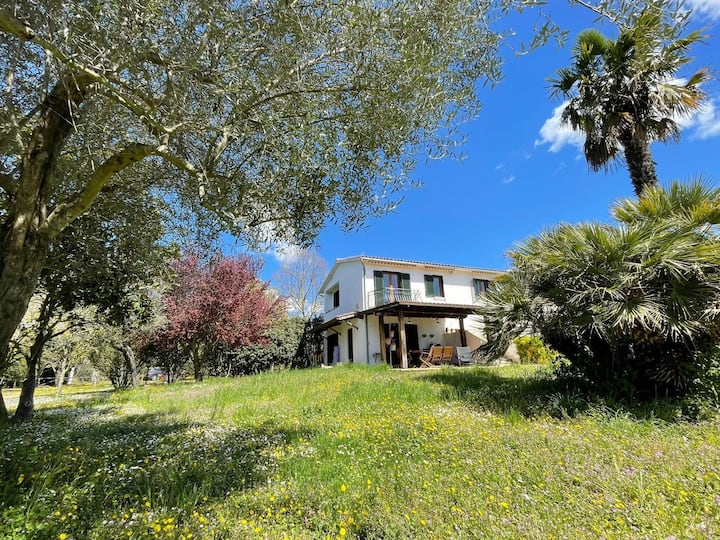 Villa Silvana Quiet Escape - Bolsena