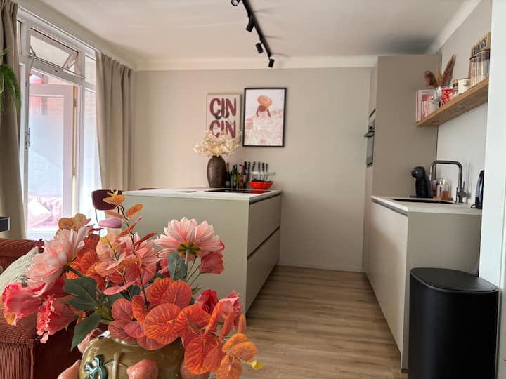 Ruim Appartement In Groningen - Groningen