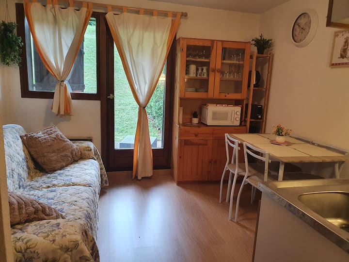 Joli Appartement 4 Personnes - Morillon