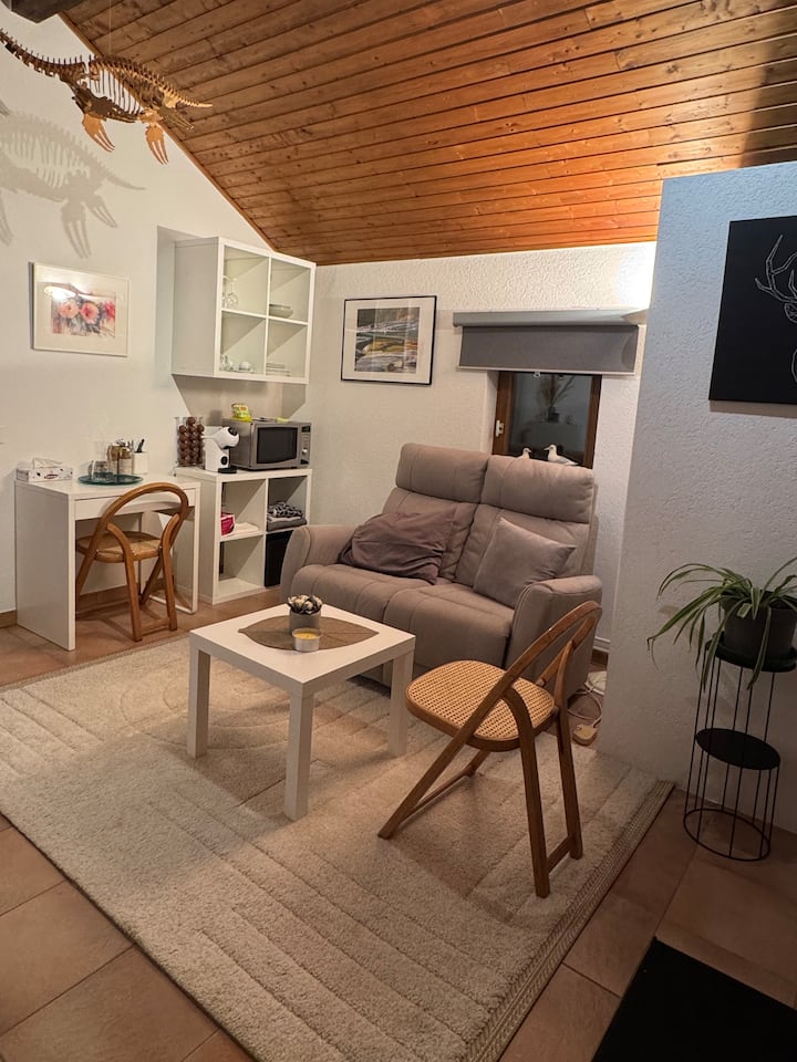 Maisonnette à Louer - Carouge