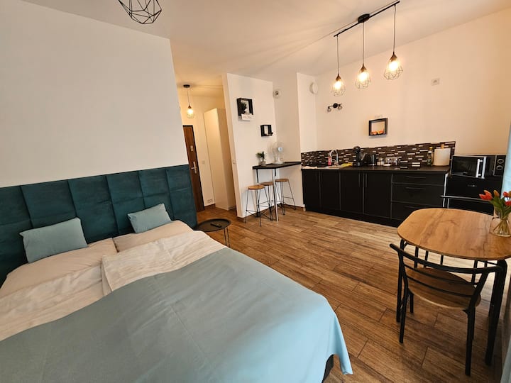 Steam Park Kraków Apartment - Pologne