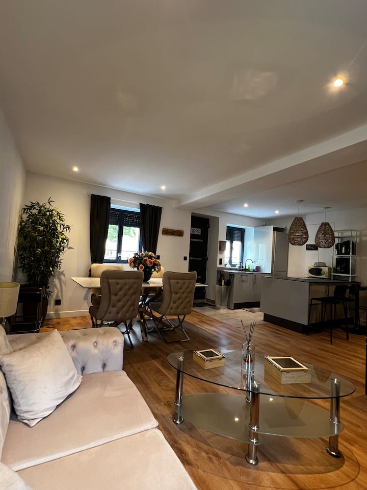 Grande Maison 8-10pers: Roissy Cdg/astérix/disney - Plailly