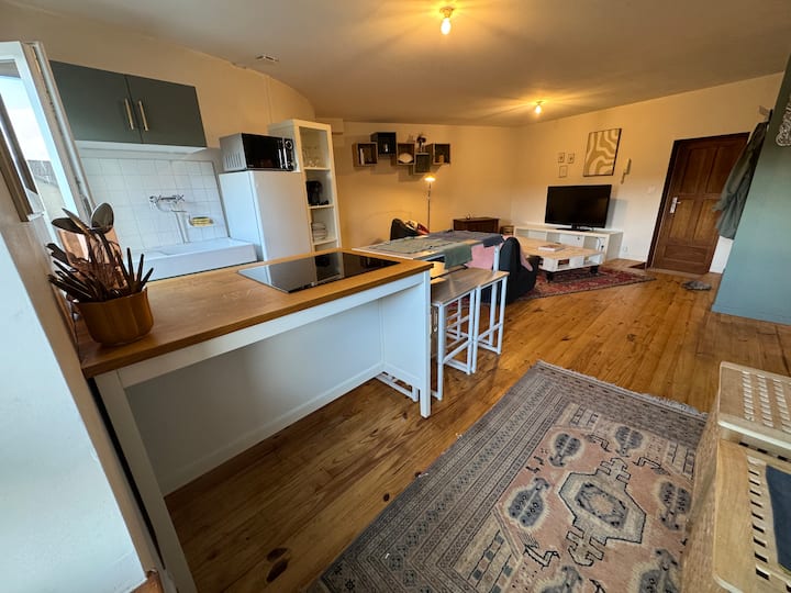 Appartement Dans Les Vignes - Condrieu