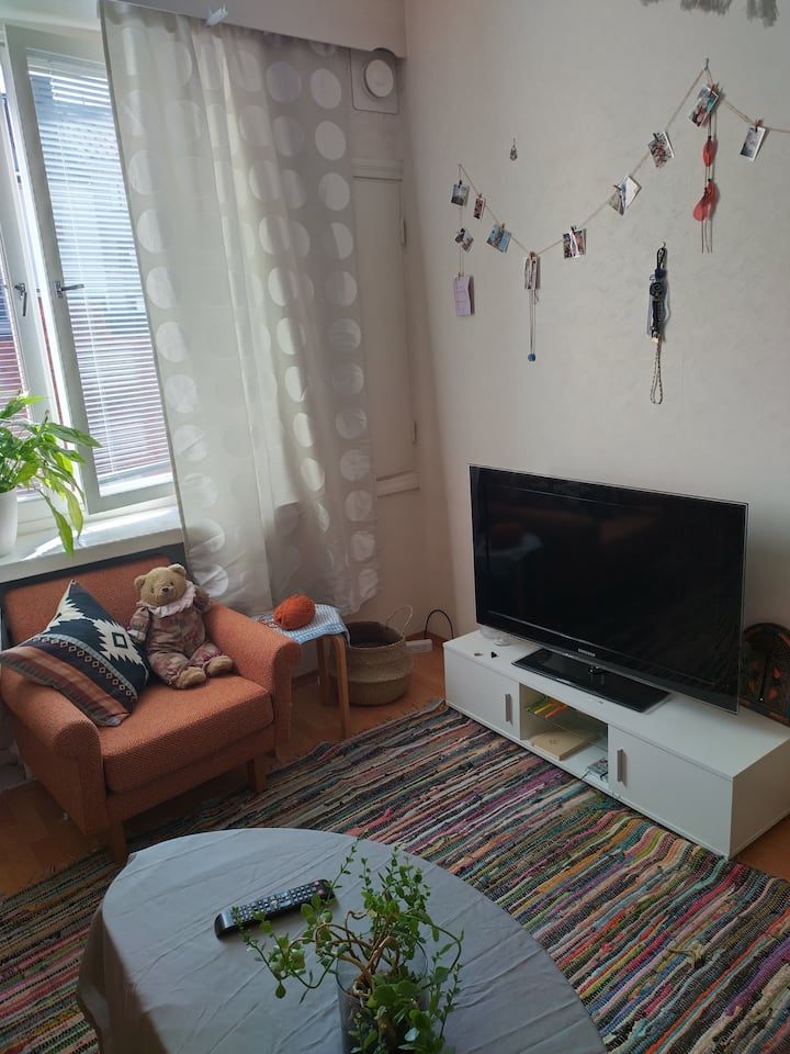 Cozy Studio In Sörnäinen - Helsinki