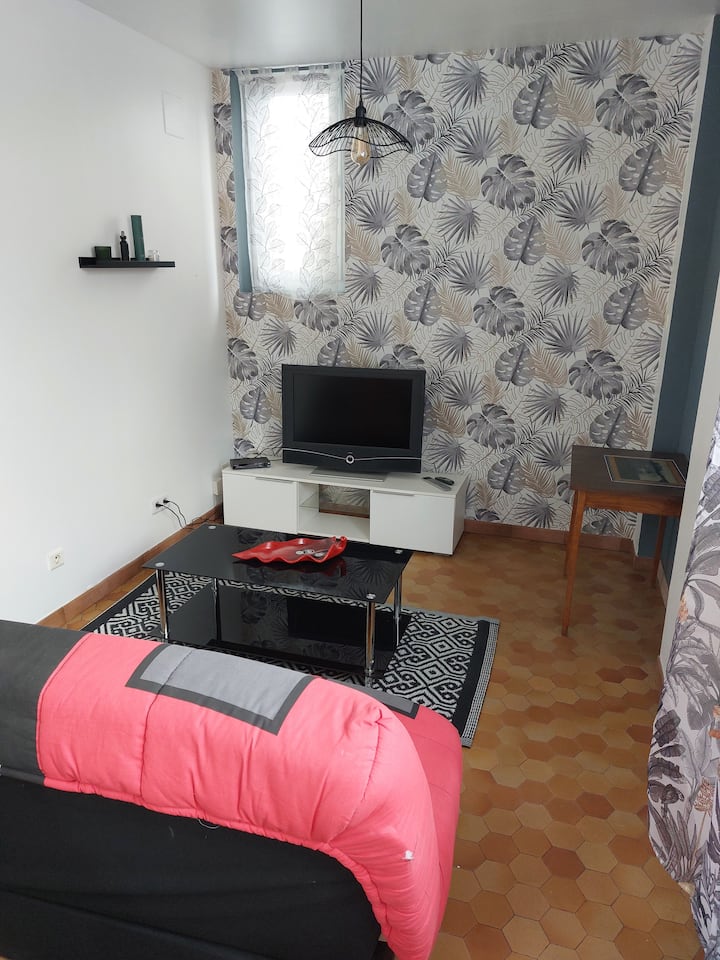 Appartement Duplex + Terrasse - Vic-sur-Cère