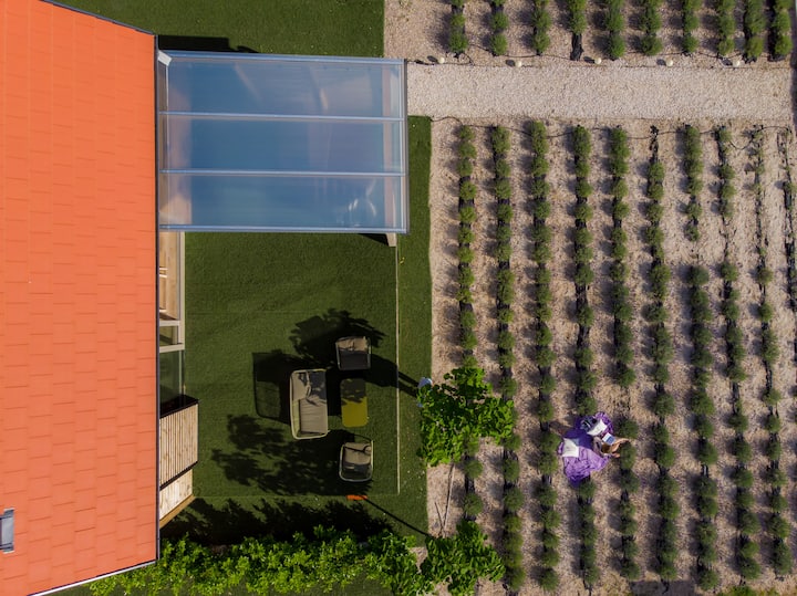 Wowcabin - Wood&wine - Balatonfüred