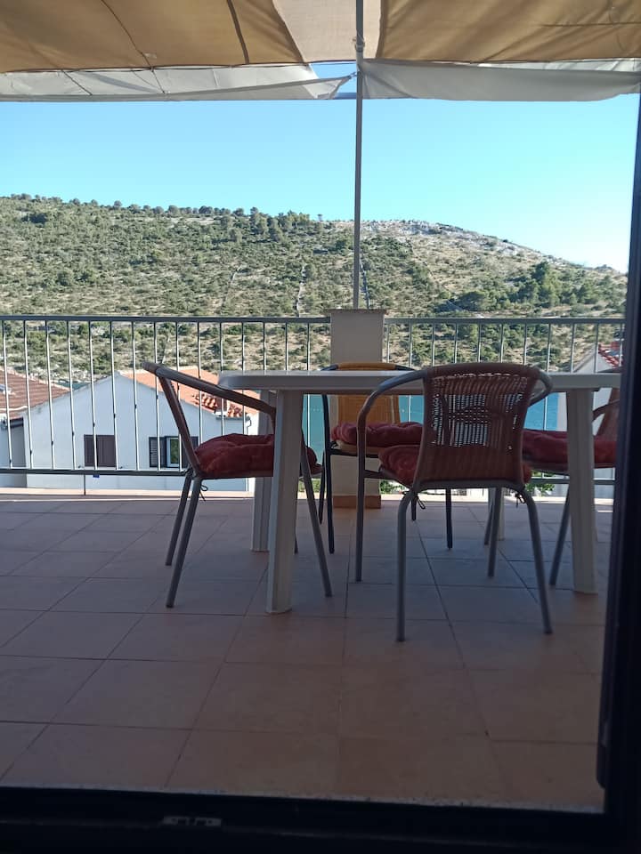 Turtle On The Beach - Sevid