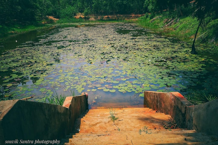 Nisha Cottage - Santiniketan