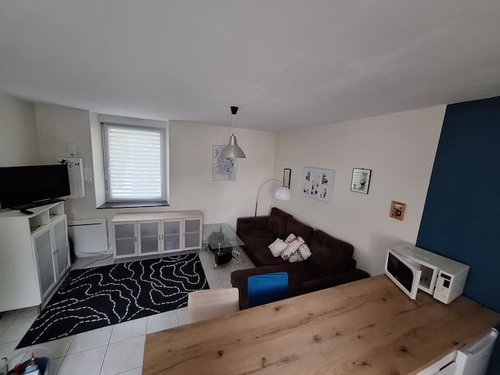 Appartement Centre Proche Gare - 洛里昂