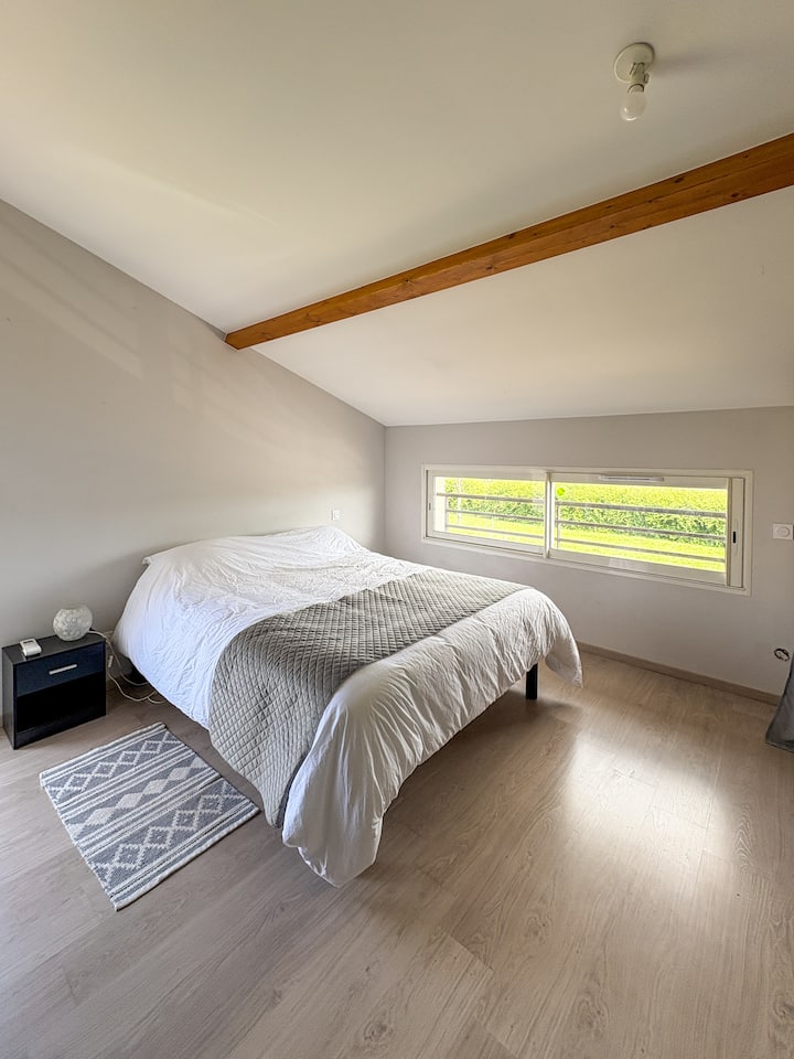 Chambre Séverine + Balcon, Calme - Montauban