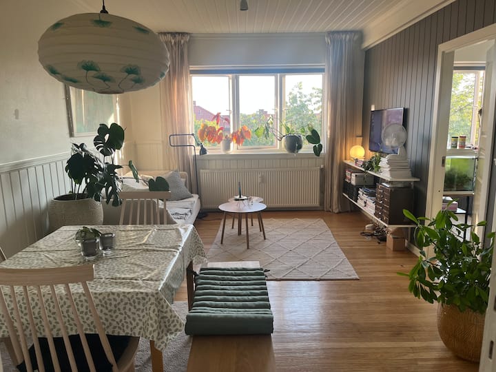 Bo Lyst Og Sentralt I Oslo - 4. Etg Uten Heis - Oslo