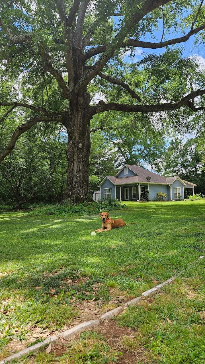 The Blue Cottage In The Woods - Green Pond, AL