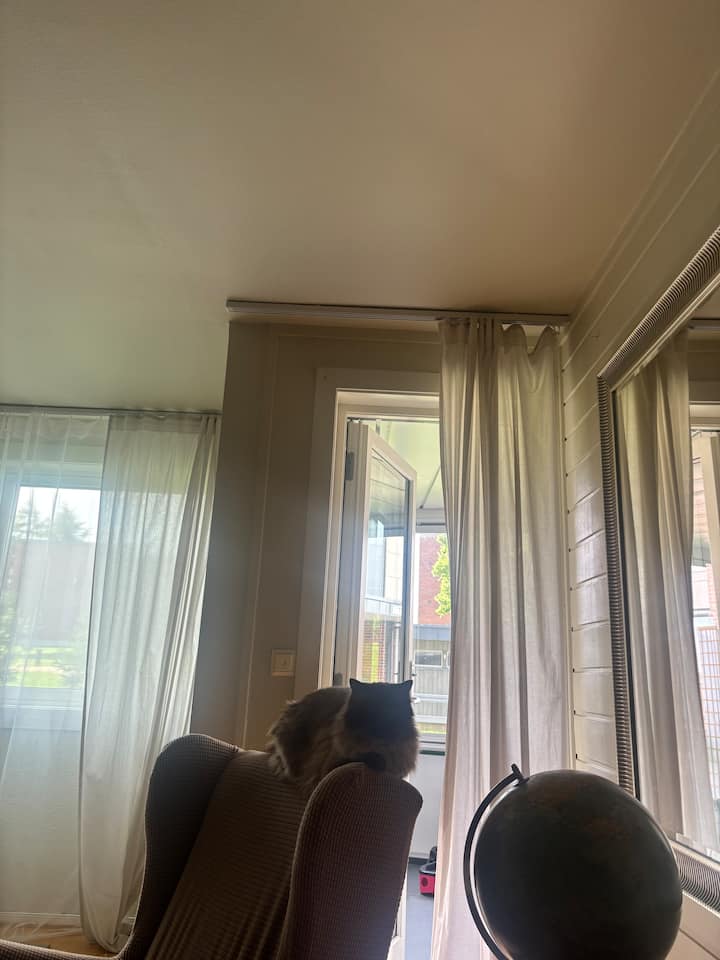 Luftig Treroms Leilighet - Trondheim