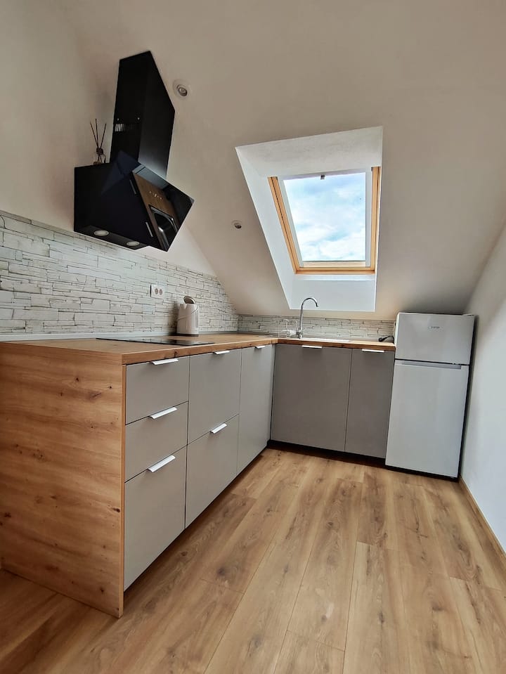 Apartments & Rooms Pri Bašlju | Studio Delux - Idrija