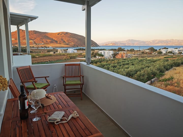 Molosview - Paros