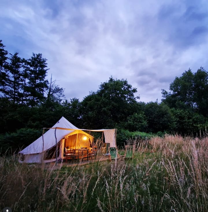 Veldtent 'Basilikus' - Aarschot