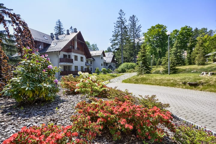 Apartament Jesienny Karpacz - Karpacz