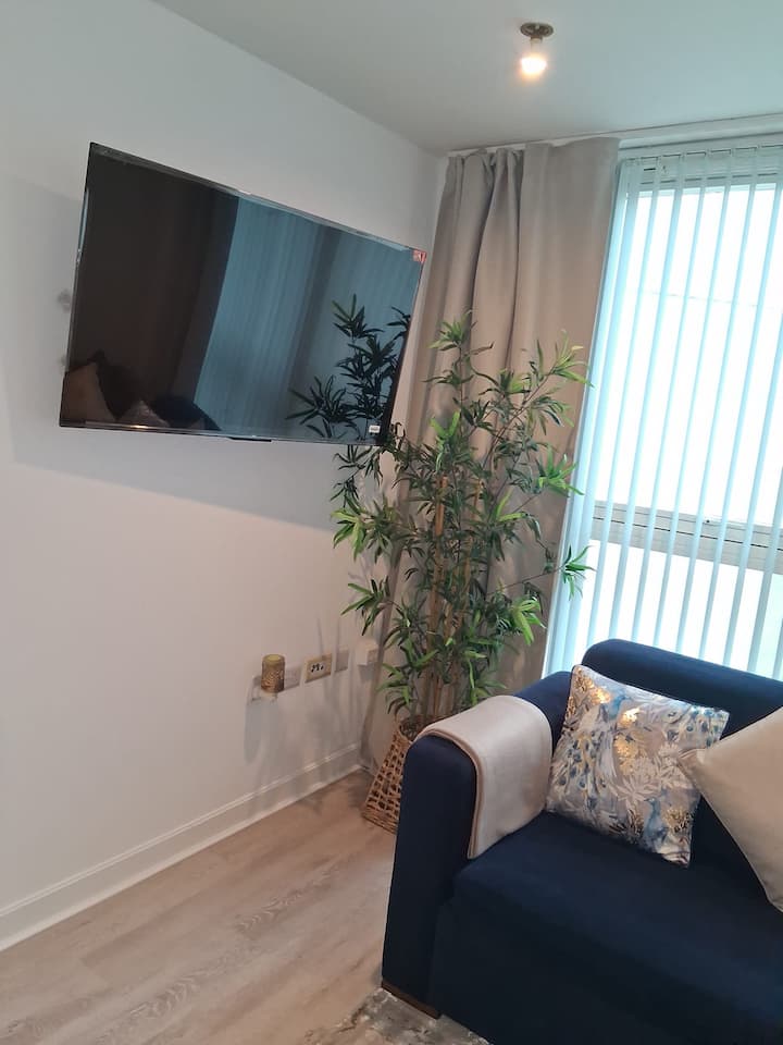 Luxury Apartment Belfast Centre - Belfast