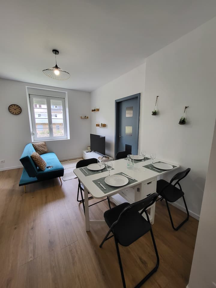 Appartement Cosy Et Tout éQuipé - Thionville