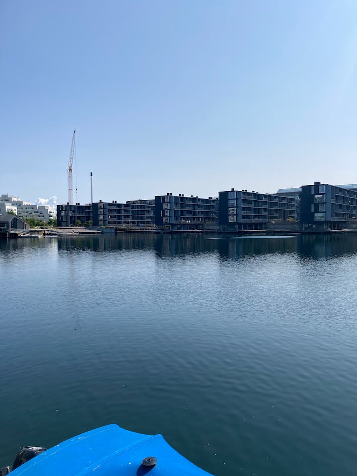 Spectacular Apartment - Copenhaguen