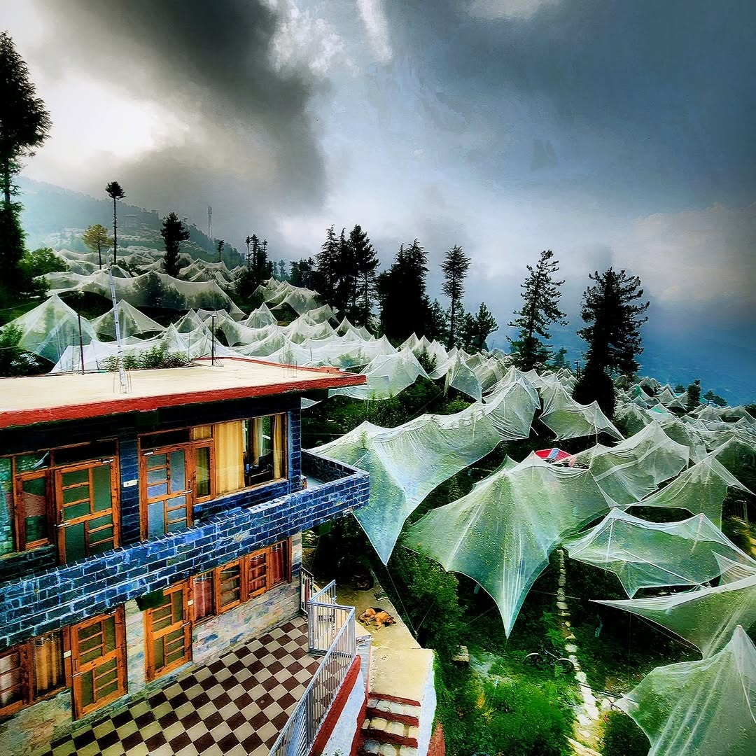 1 Room with Mountain view | Peaceful | Shimla - Houses for Rent in Fagu ...