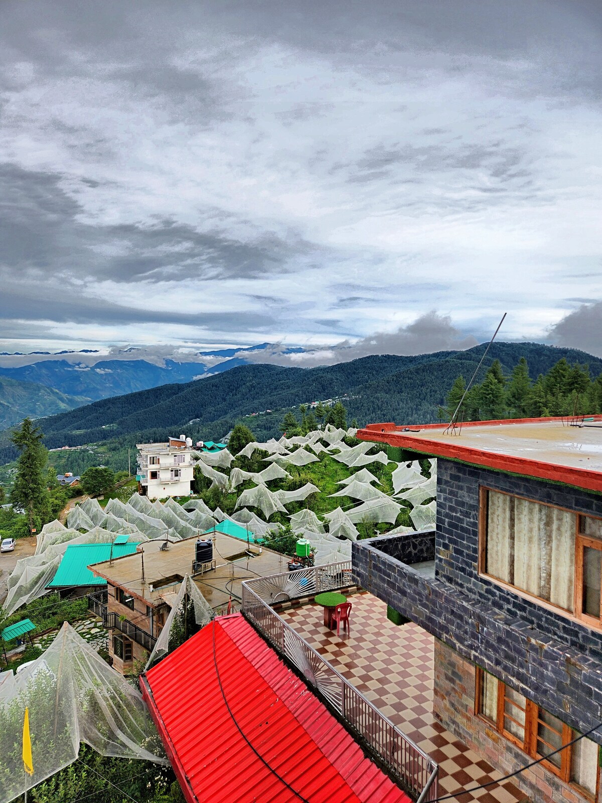 1 Room with Mountain view | Peaceful | Shimla - Houses for Rent in Fagu ...
