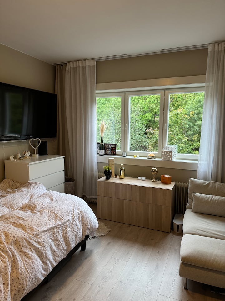 Liten Og Koselig Ettroms I Hjertet Av Oslo! - Oslo