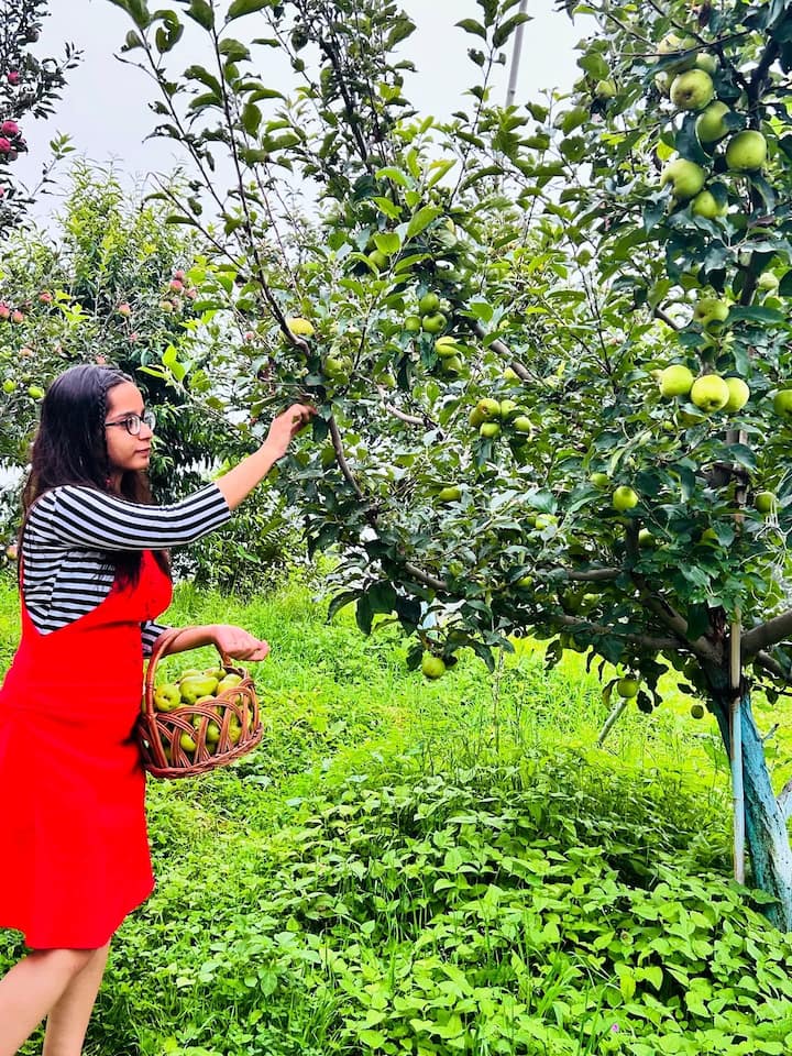 Farmstay Villa | Shimla-fagu|mountain Facing View - Kufri