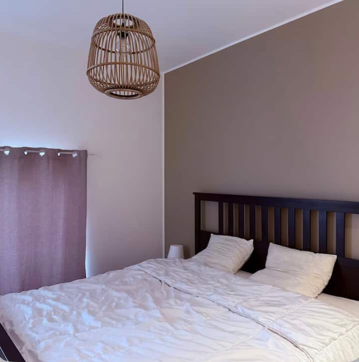 Appartement Centre Ville Montbrison - Savigneux