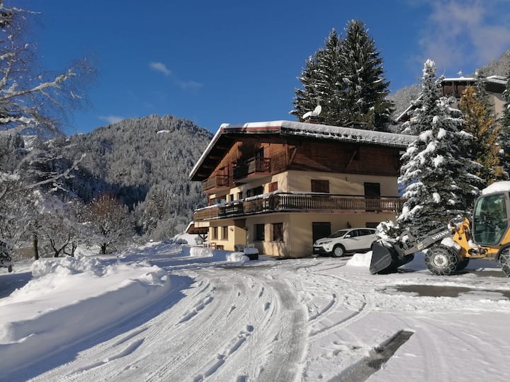 Appartements En Chalet L’édelweiss & Saint-nicolas - Praz-sur-Arly