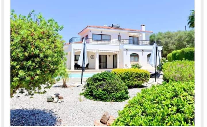The Olives Is A Stunning Villa! - Пейя
