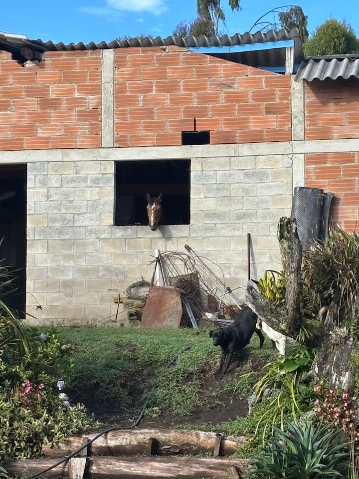 Cabaña En Medio De Naturaleza - Abejorral