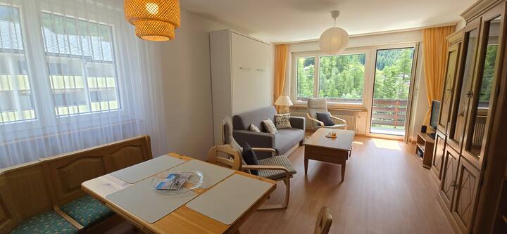 Apollo 56- Neu Renovierte Wohnung - Kandersteg