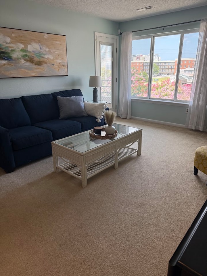 Relax & Enjoy 2 Blocks To Beach W/ Pool - Virginia Beach Oceanfront