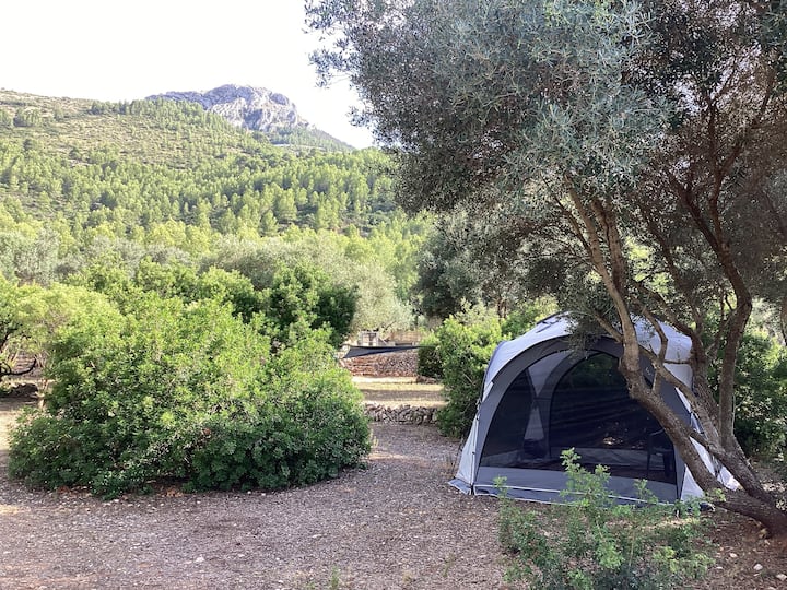 Camping Im Paradies - Callosa d'en Sarrià