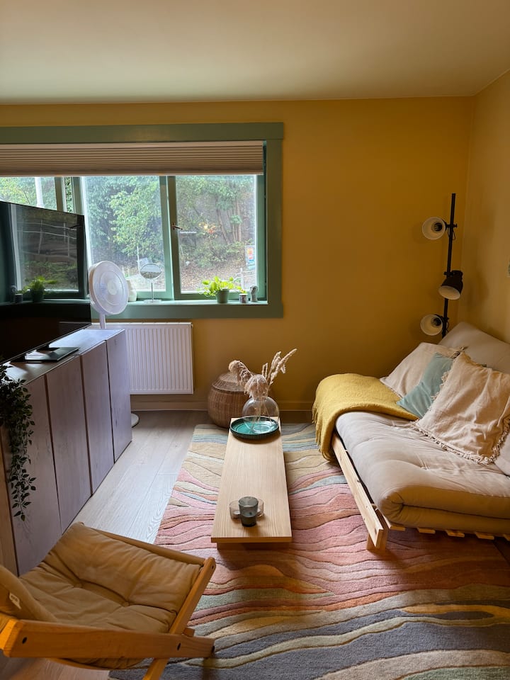 Leilighet På Grünerløkka/st. Hanshaugen - Oslo